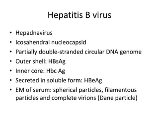 Virology of hepatitis | PPTX