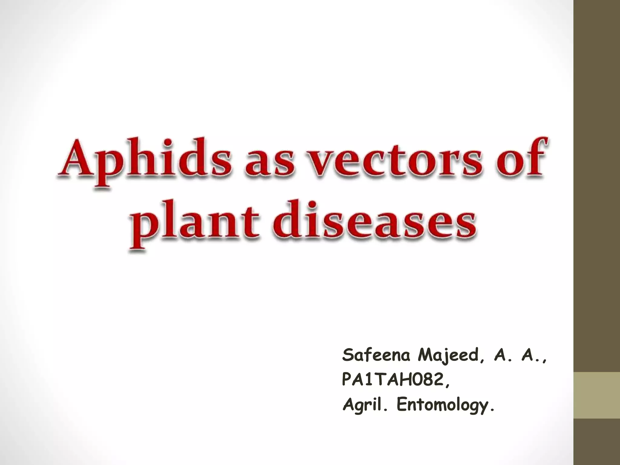 Aphid vectors of plant diseases | PPTX