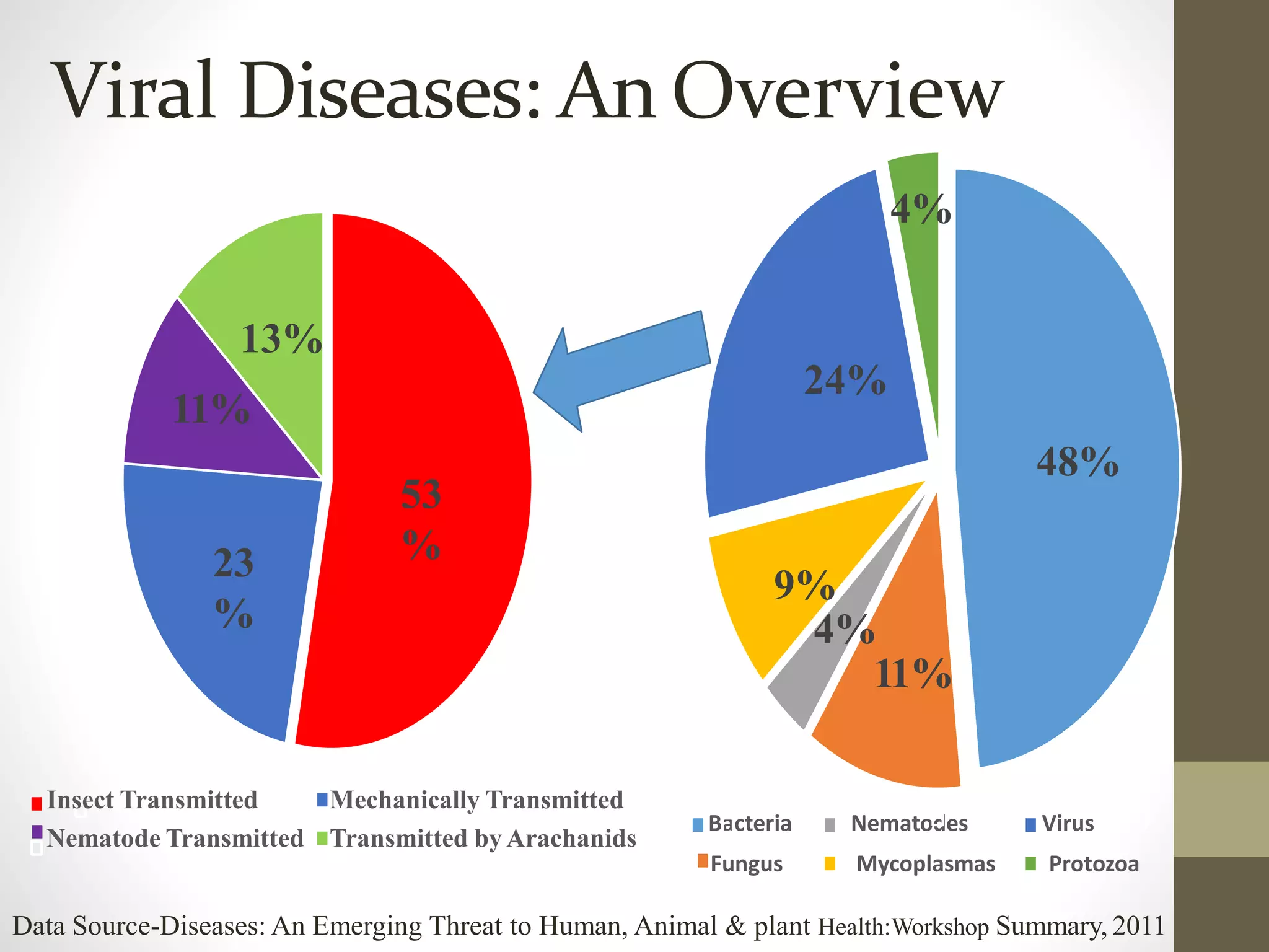 Aphid vectors of plant diseases | PPTX