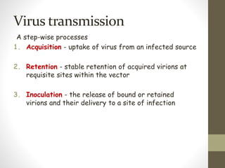 Aphid vectors of plant diseases | PPTX