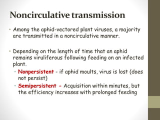 Aphid vectors of plant diseases | PPTX