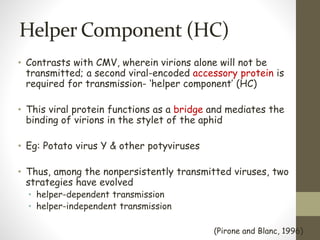 Aphid vectors of plant diseases | PPTX