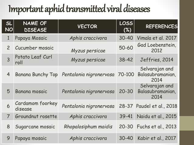 Aphid vectors of plant diseases | PPTX | Gardening | Home & Garden