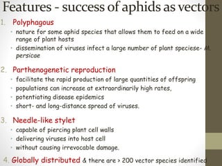 Aphid vectors of plant diseases | PPTX