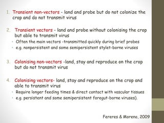 Aphid vectors of plant diseases | PPTX