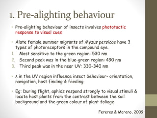 Aphid vectors of plant diseases | PPTX