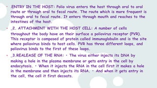 Virology Poliovirus ,its mode of Replication | PPTX