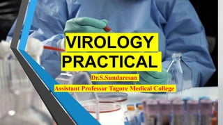 Virology Practical and PCR Techniques pptx | PPTX