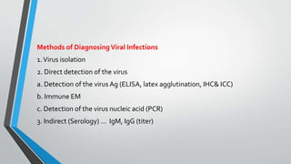 Virology Practical and PCR Techniques pptx | PPTX