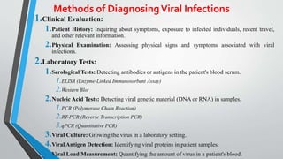 Virology Practical and PCR Techniques pptx | PPTX