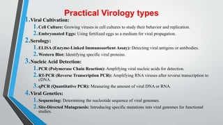 Virology Practical and PCR Techniques pptx | PPTX