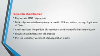 Virology Practical and PCR Techniques pptx | PPTX