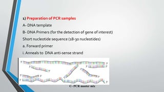 Virology Practical and PCR Techniques pptx | PPTX