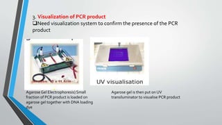 Virology Practical and PCR Techniques pptx | PPTX