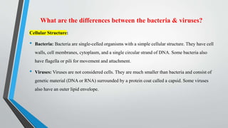 Virology Practical and PCR Techniques pptx | PPTX