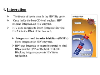 virology presentation.pptx life cycle of the hiv | PPT