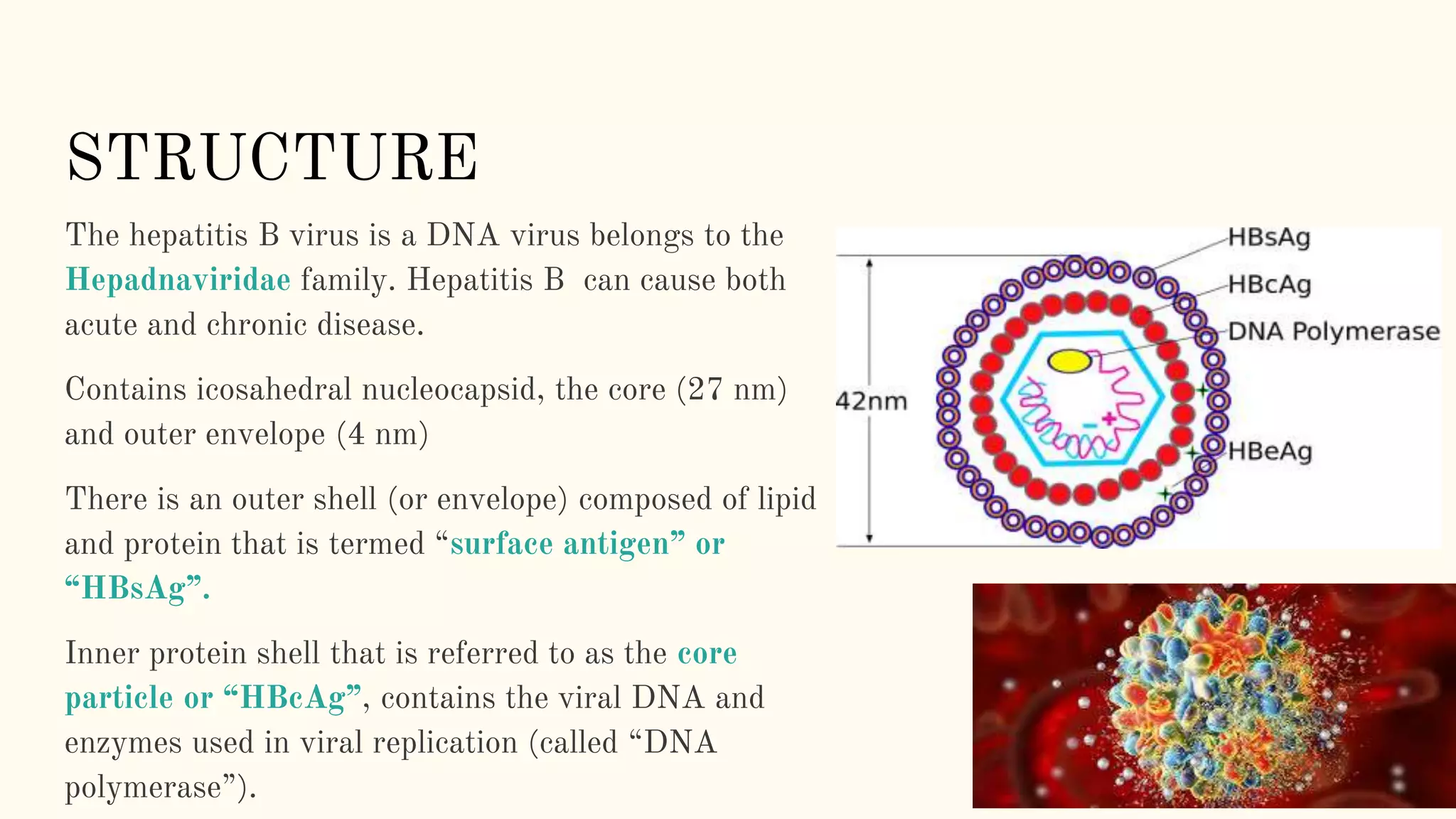 hepatitis | PPTX