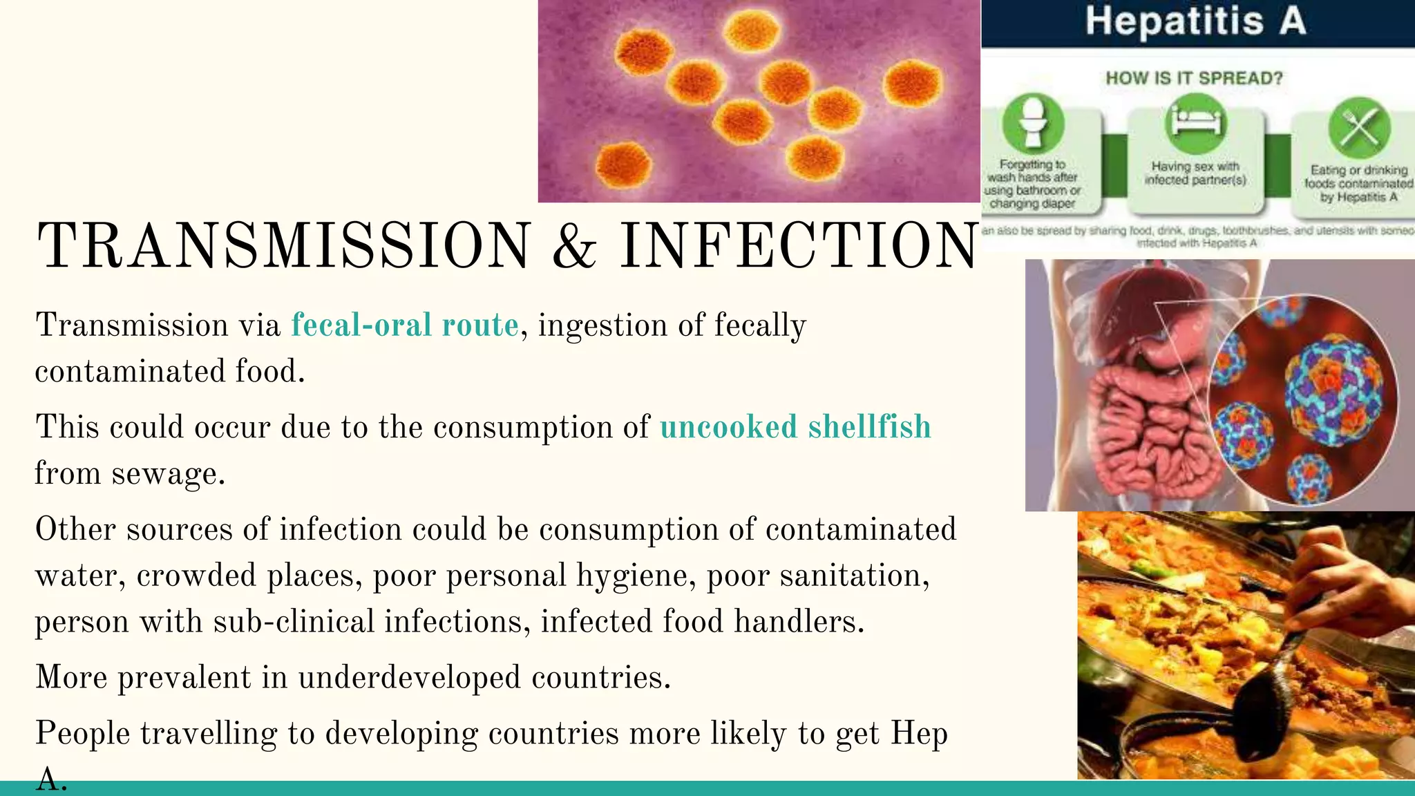 hepatitis | PPTX