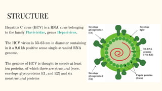 hepatitis | PPTX