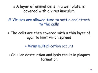 VIROLOGY INTRODUCTION.pptx