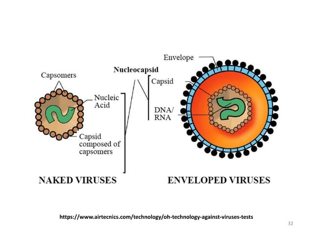 VIROLOGY INTRODUCTION.pptx