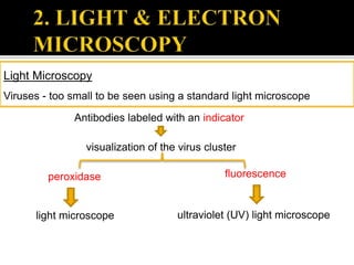 Virology techniques | PPTX