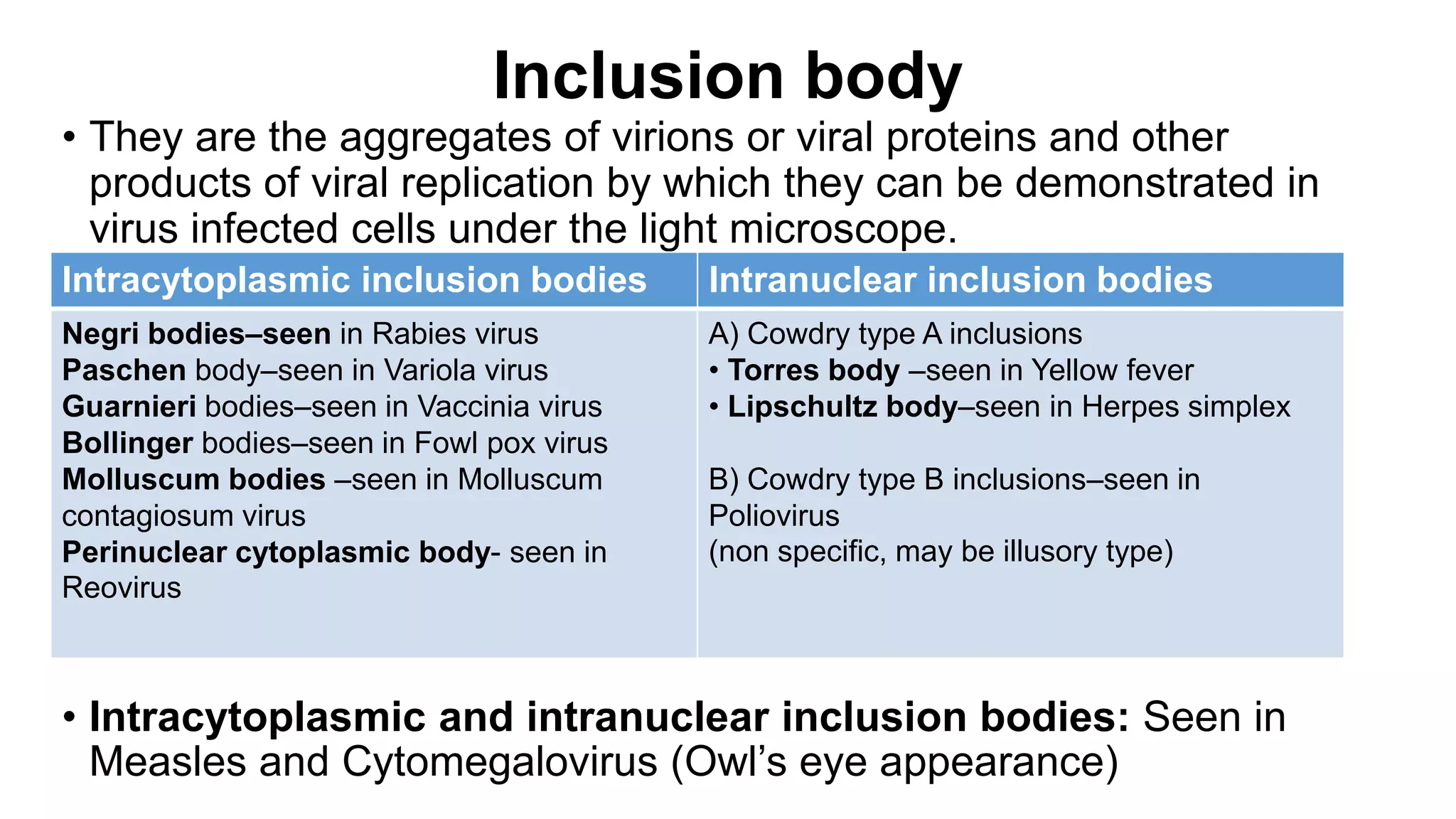 Virology Two copy.pptx