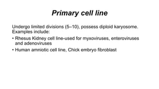 Virology Two copy.pptx