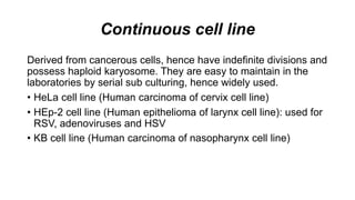 Virology Two copy.pptx