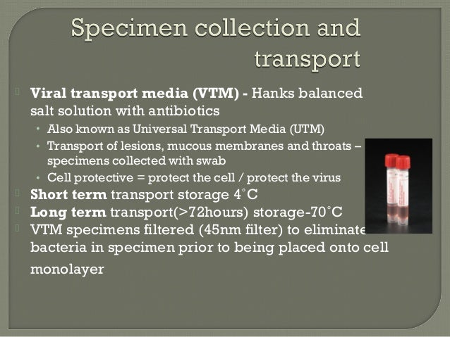 Virology Update 2017