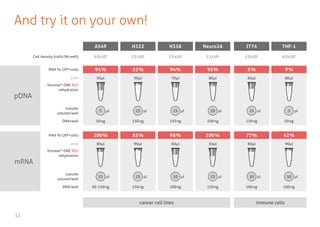 VIROMER® ONE RED - a standardized transfection reagent for plasmid DNA ...