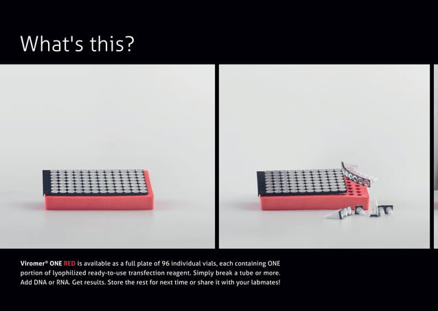 VIROMER® ONE RED - a standardized transfection reagent for plasmid DNA ...