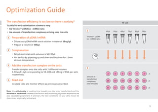 VIROMER® ONE RED - a standardized transfection reagent for plasmid DNA ...