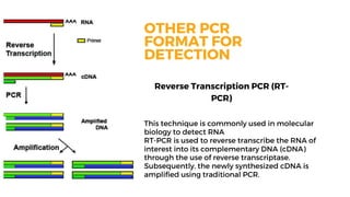 detection of plant virus using nucleic acid | PPTX