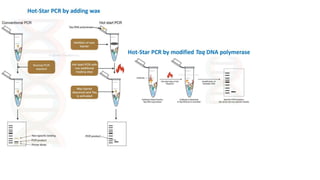detection of plant virus using nucleic acid | PPTX