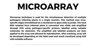 detection of plant virus using nucleic acid | PPTX