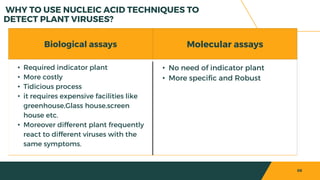 detection of plant virus using nucleic acid | PPTX