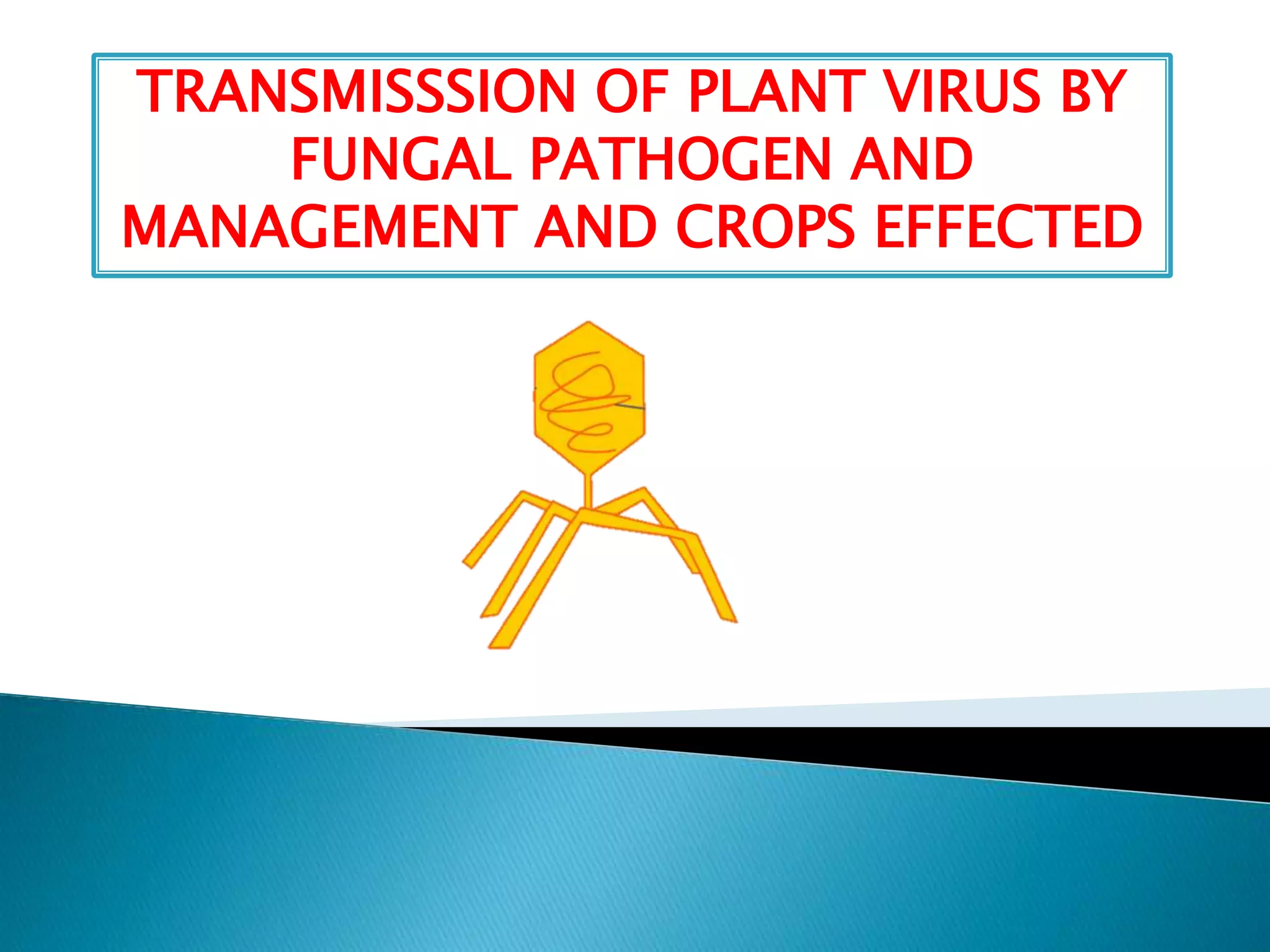 plant virus transmission through the fungal vectors | PPTX