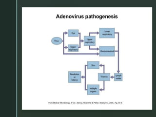 Pathogenesis of Adenoviruses | PPTX