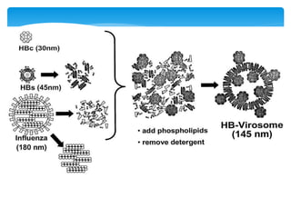 Virosomes | PPTX