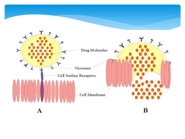 Virosomes | PPTX