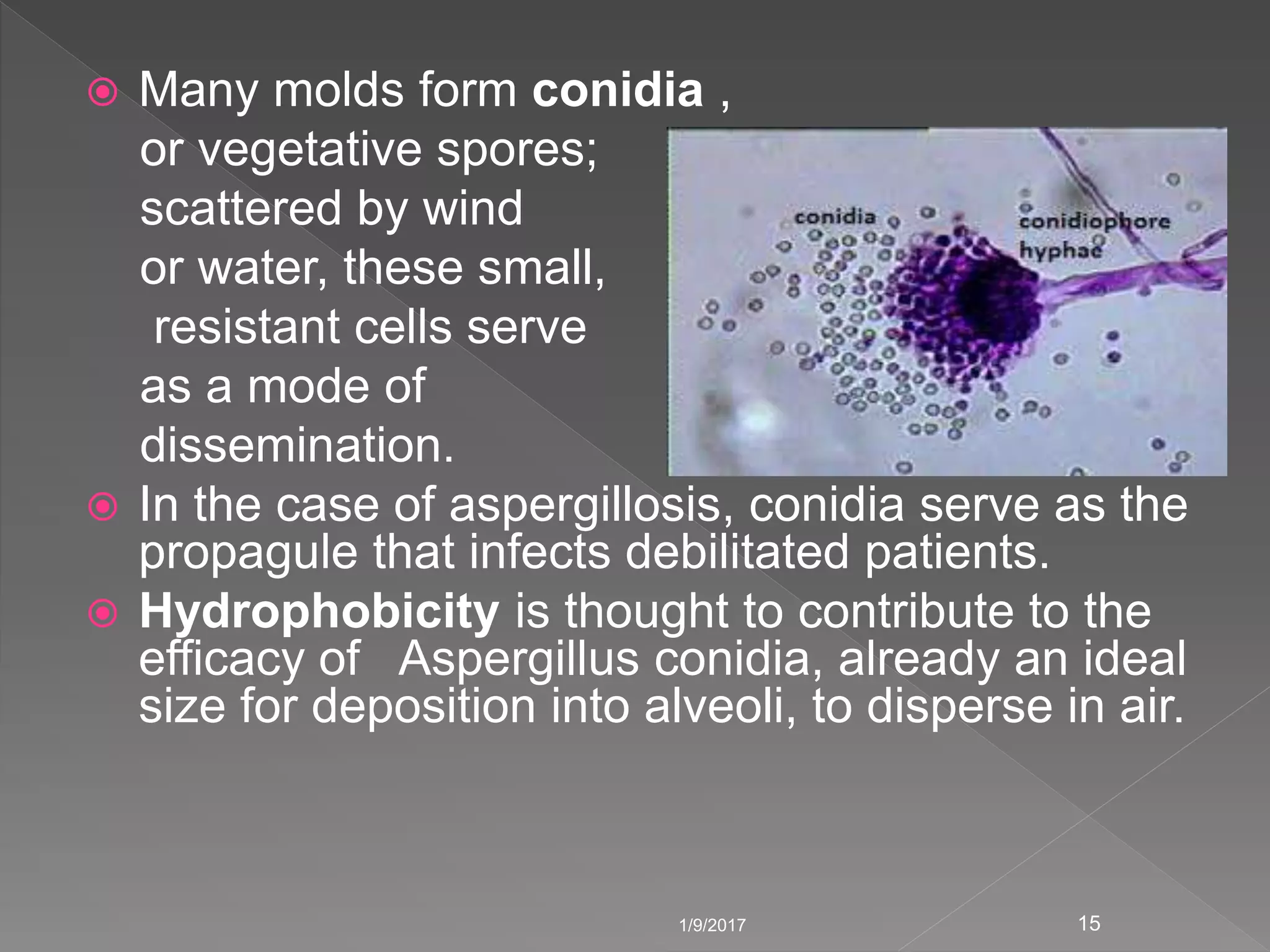 Virulence factors of fungi | PPTX