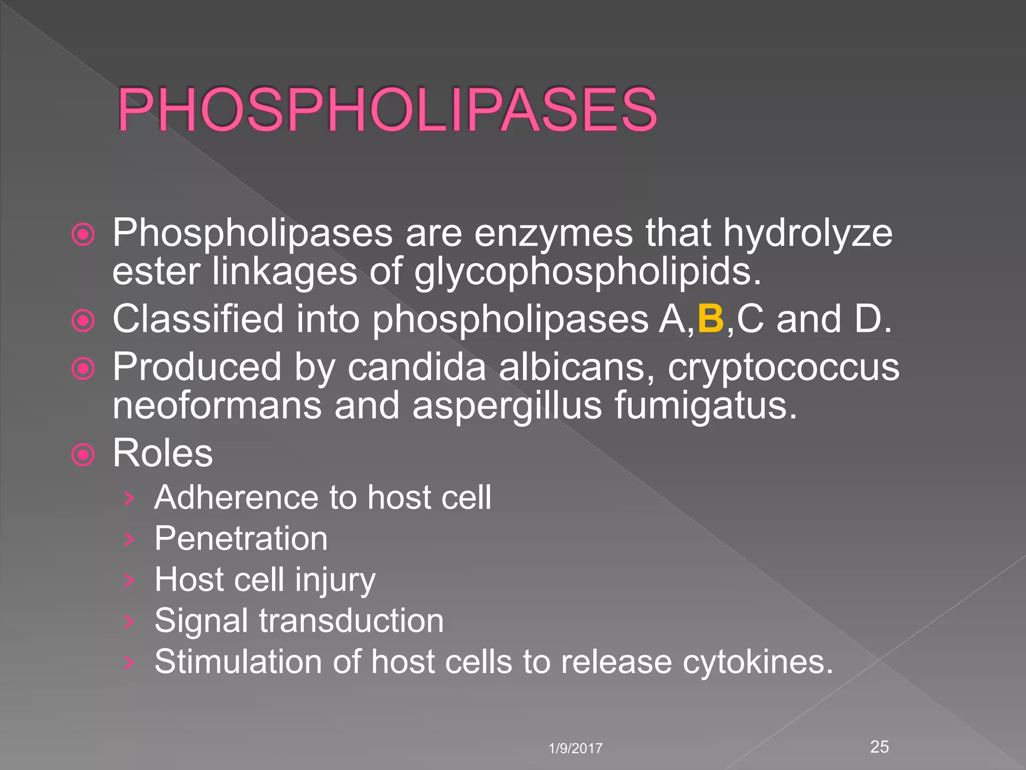 Virulence factors of fungi | PPTX