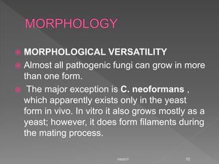 Virulence factors of fungi | PPTX