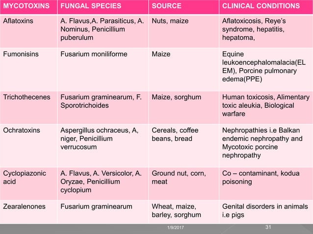 Virulence factors of fungi | PPTX | Infectious Diseases | Diseases and ...