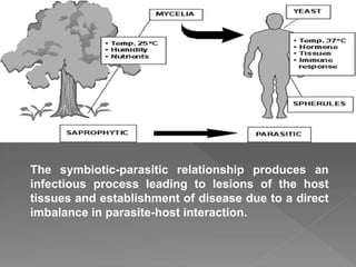 Virulence factors of fungi | PPTX