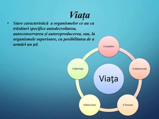 Socializarea de-a lungul vieţii | PPTX