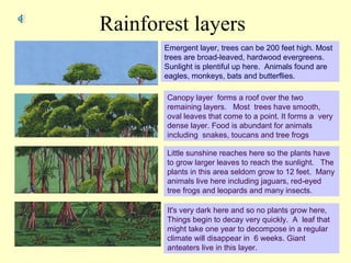 Virtual Field Trip | PPT