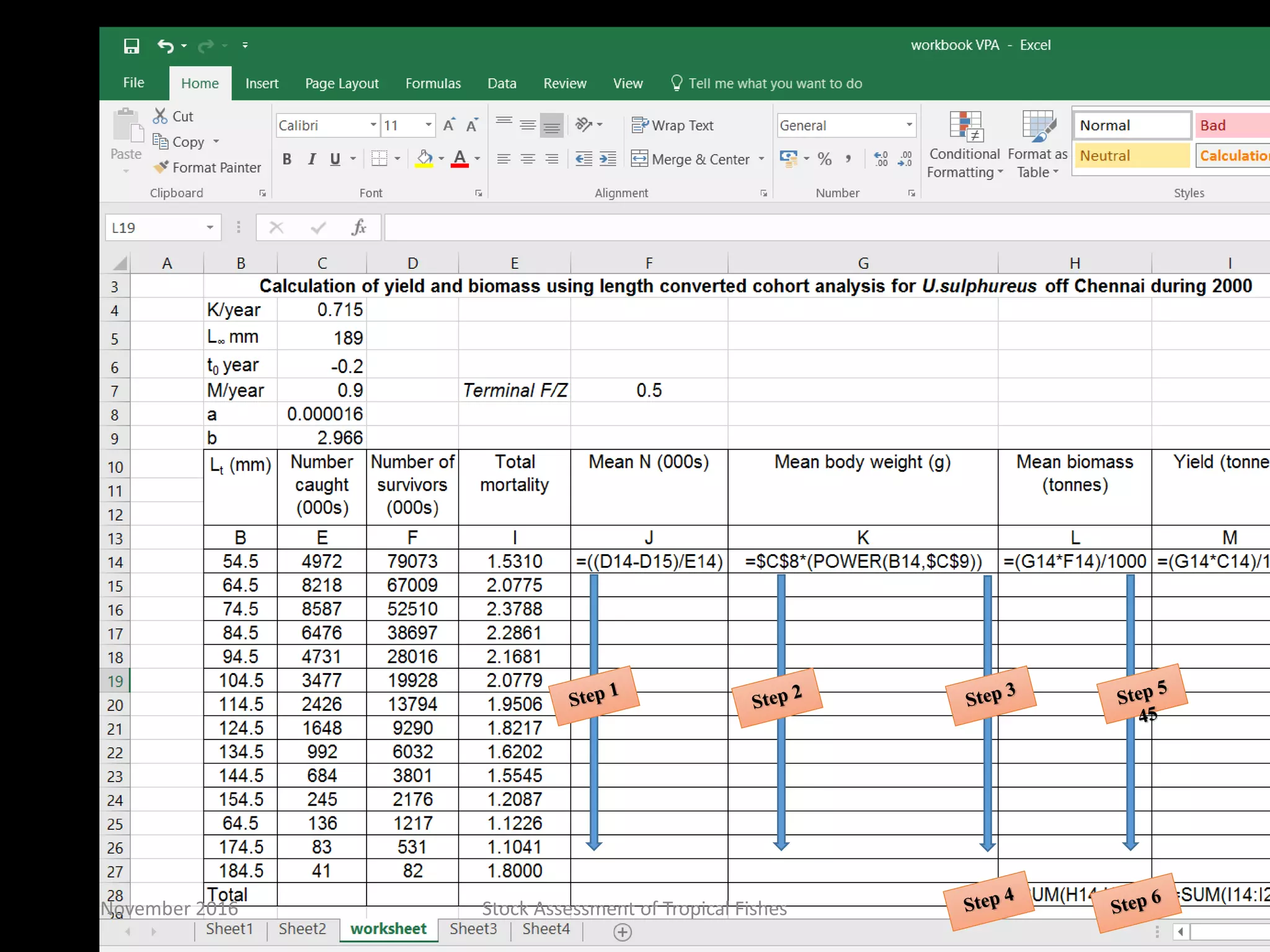 Virtual-Population-Analysis.pptx