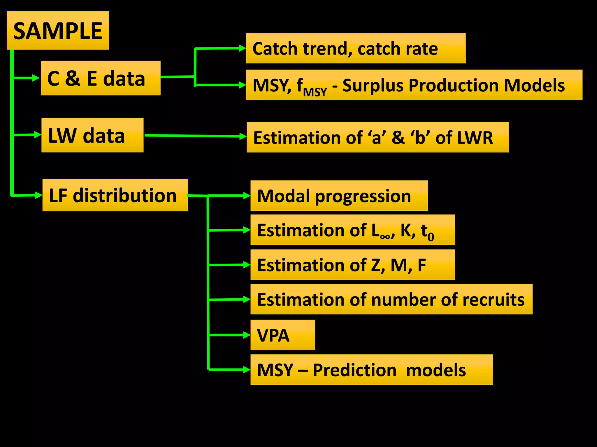 Virtual-Population-Analysis.pptx
